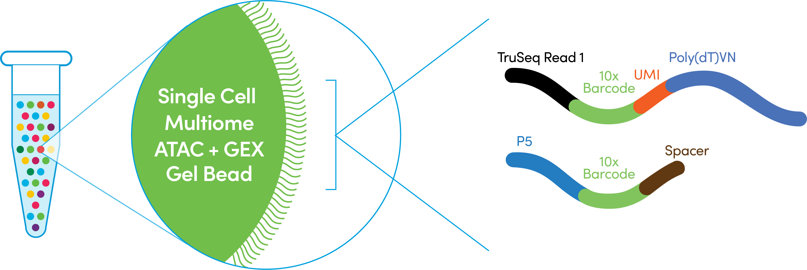 ATAC Barcoded BAM | Official 10x Genomics Support